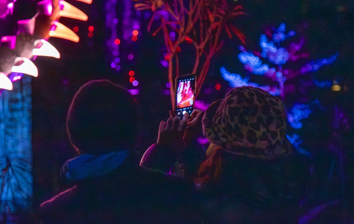 The Enchanted Experience » LUMA Enchanted